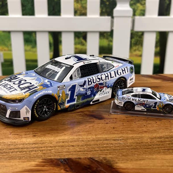 Post from NASCAR DUDE