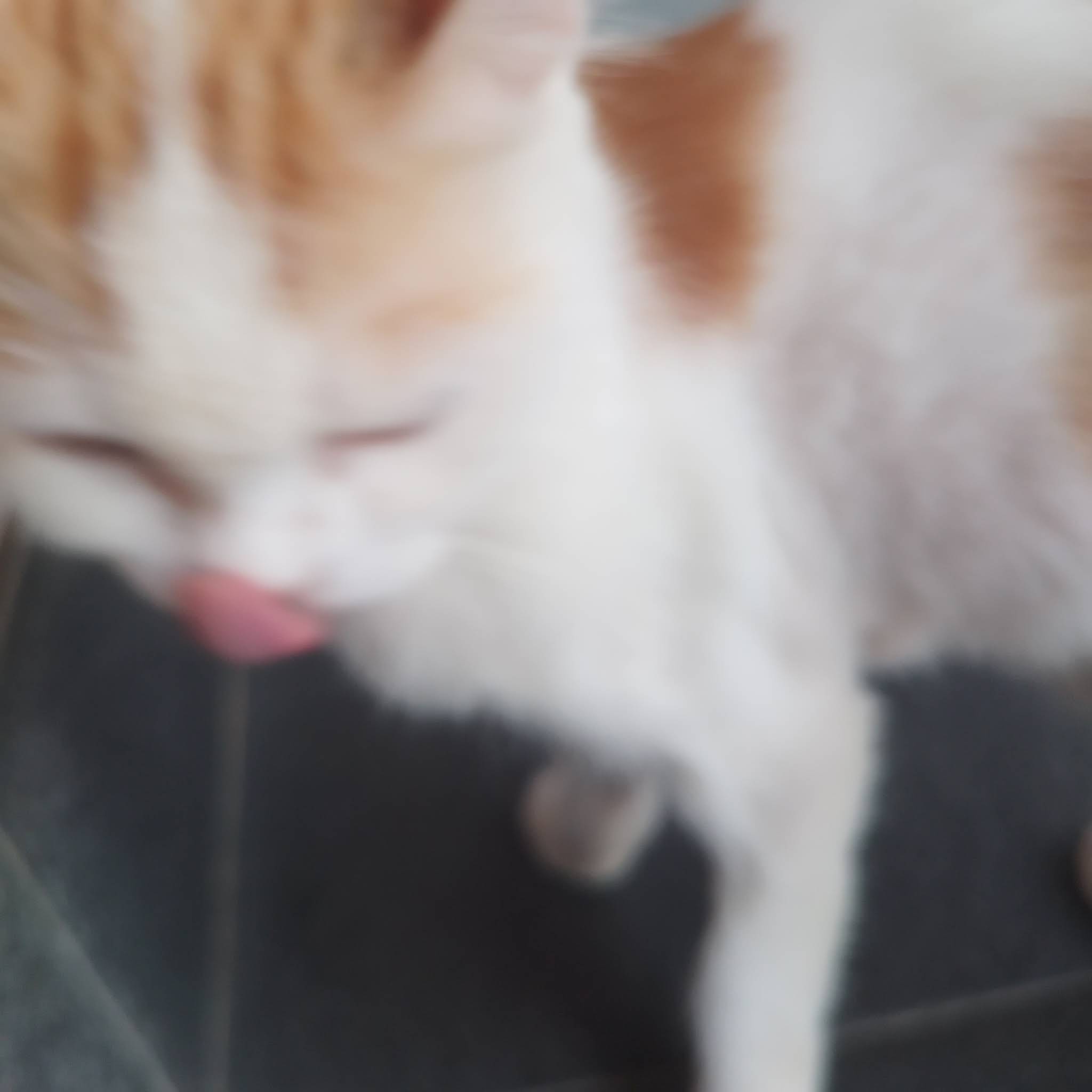 Post from ♡𝚌 𝚊 t♡