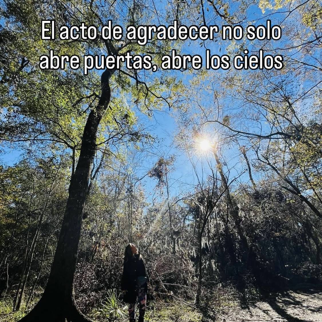 Post from Isabel Cuervo