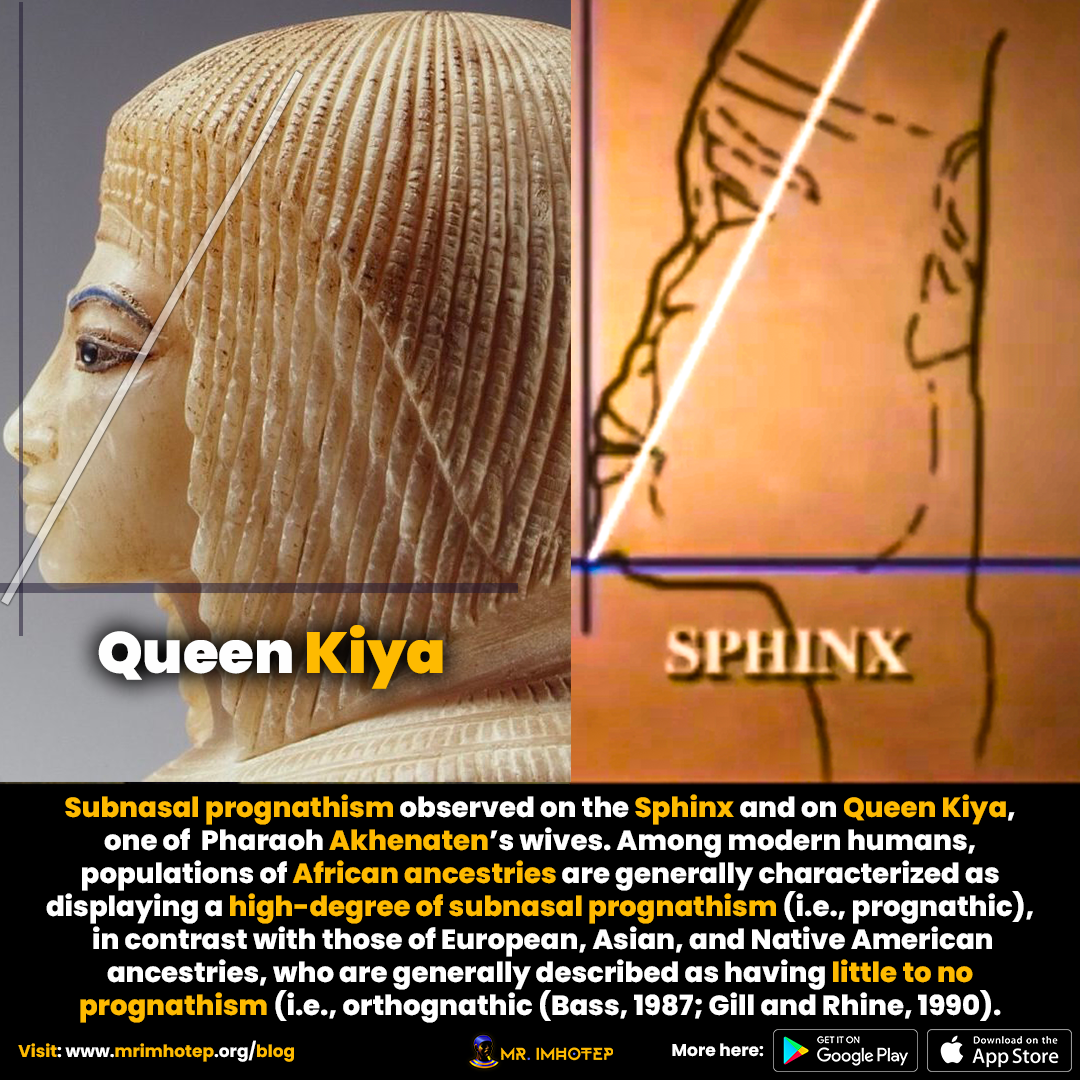 Post from Mr. Imhotep