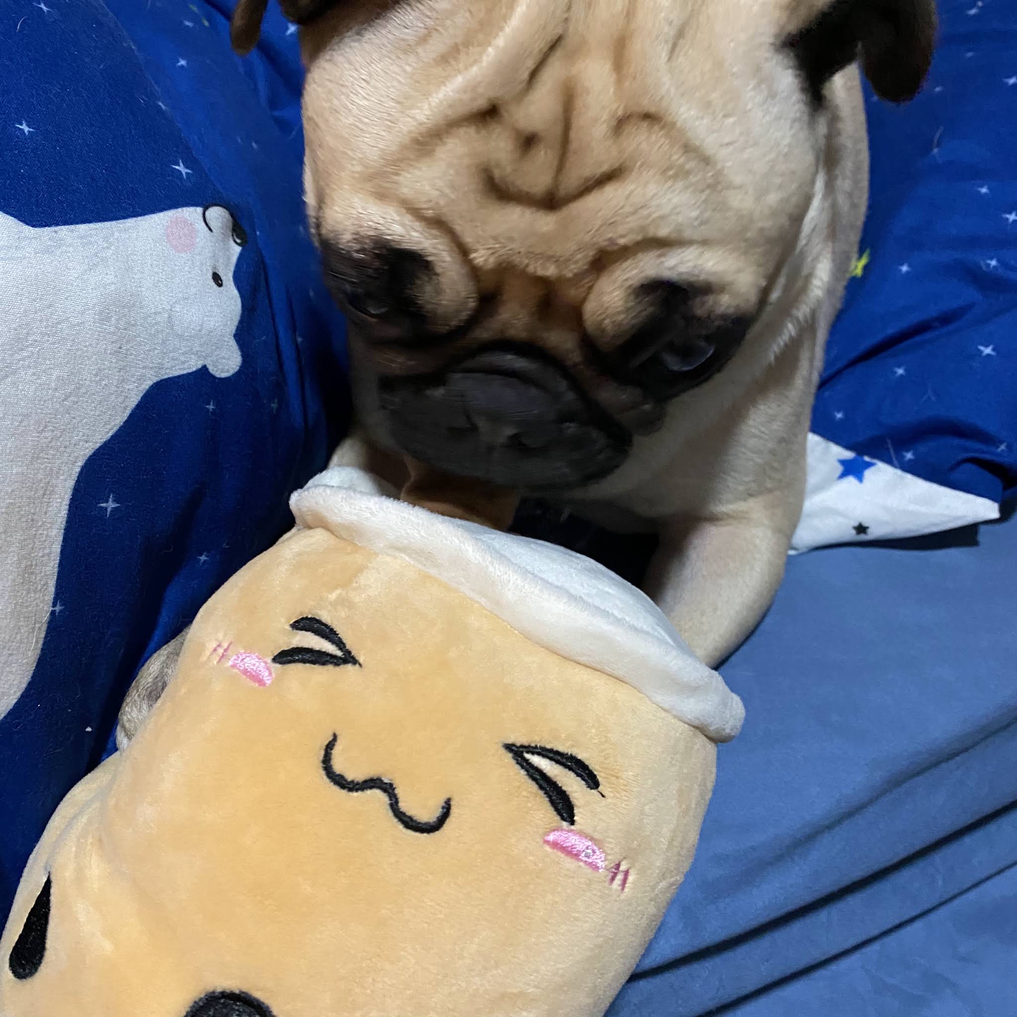 Post from mayrushart