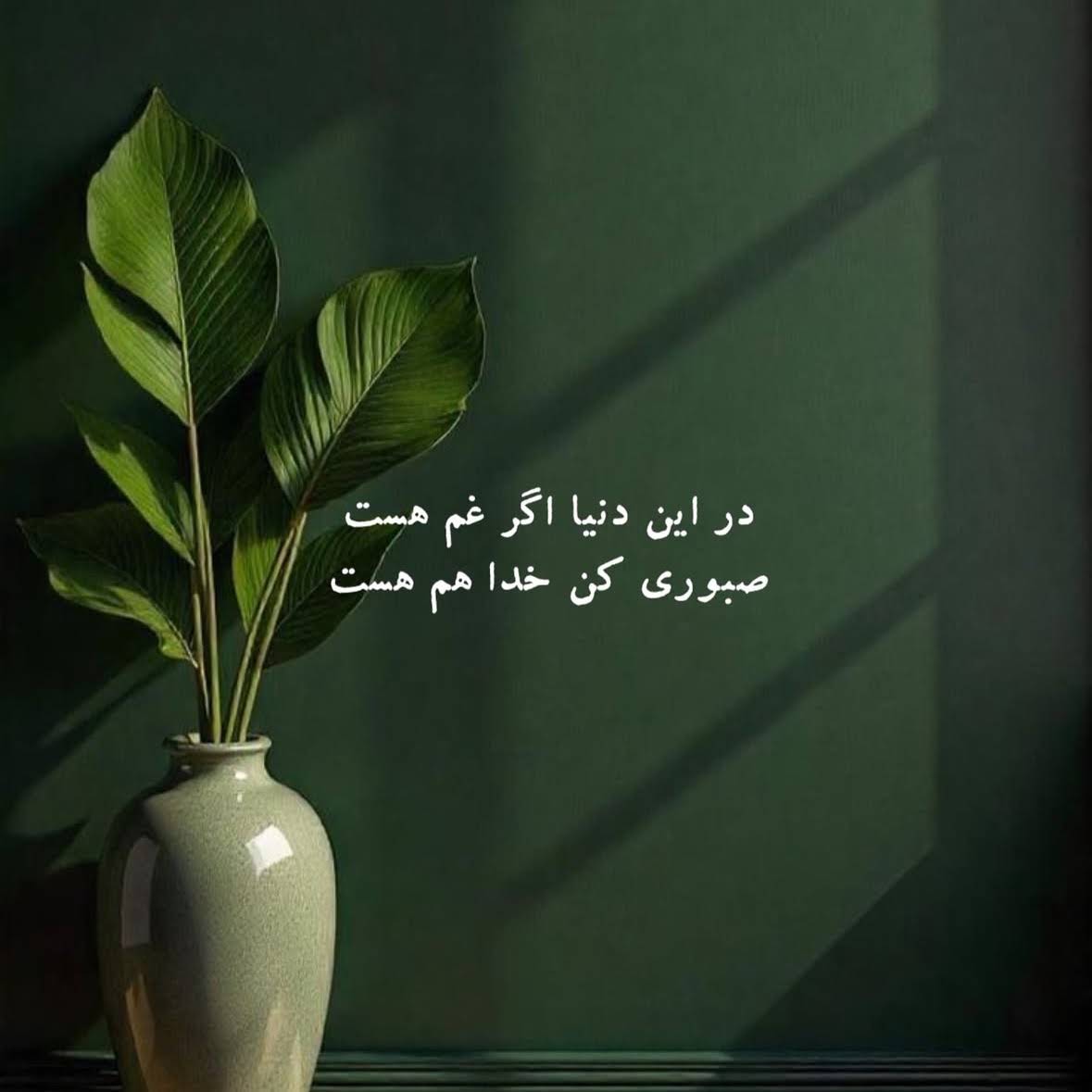 Post from Mehran Rowshan Persian
