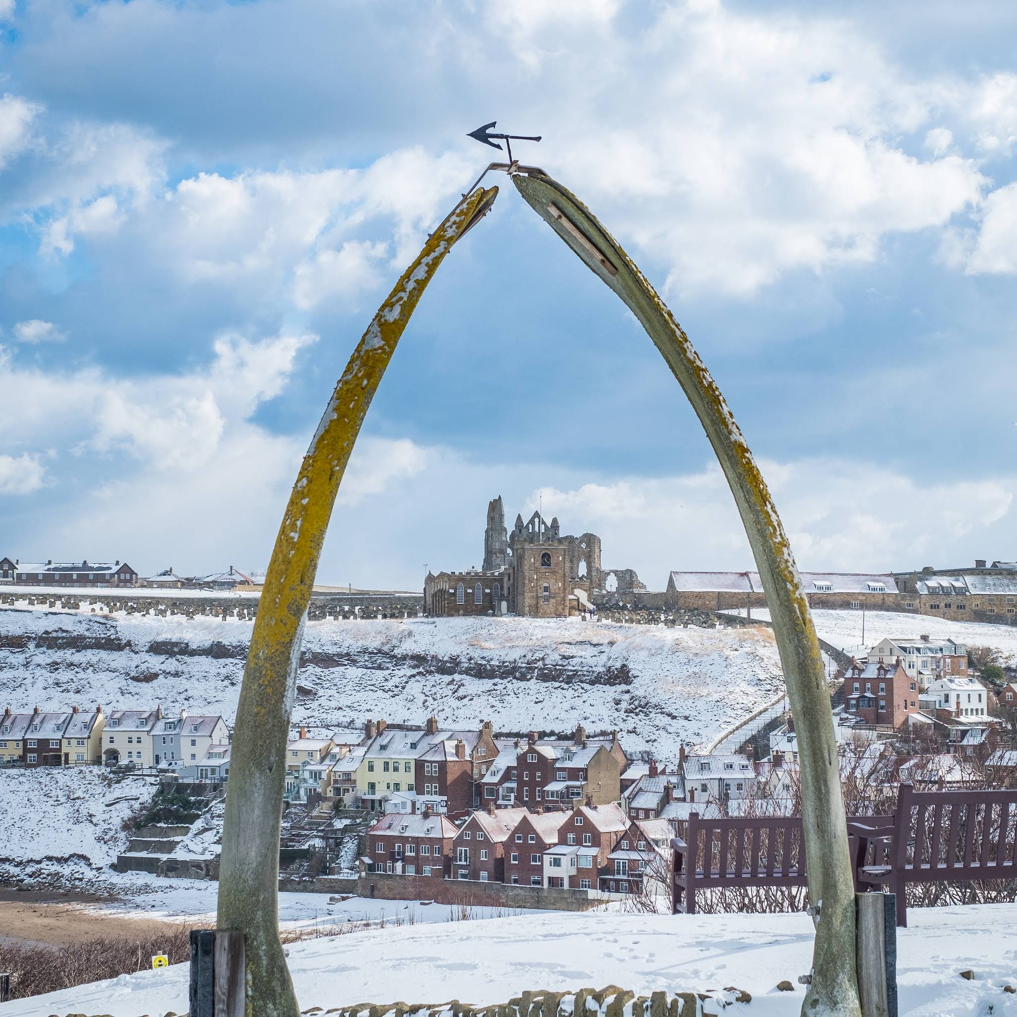 Post from The Whitby Photographer