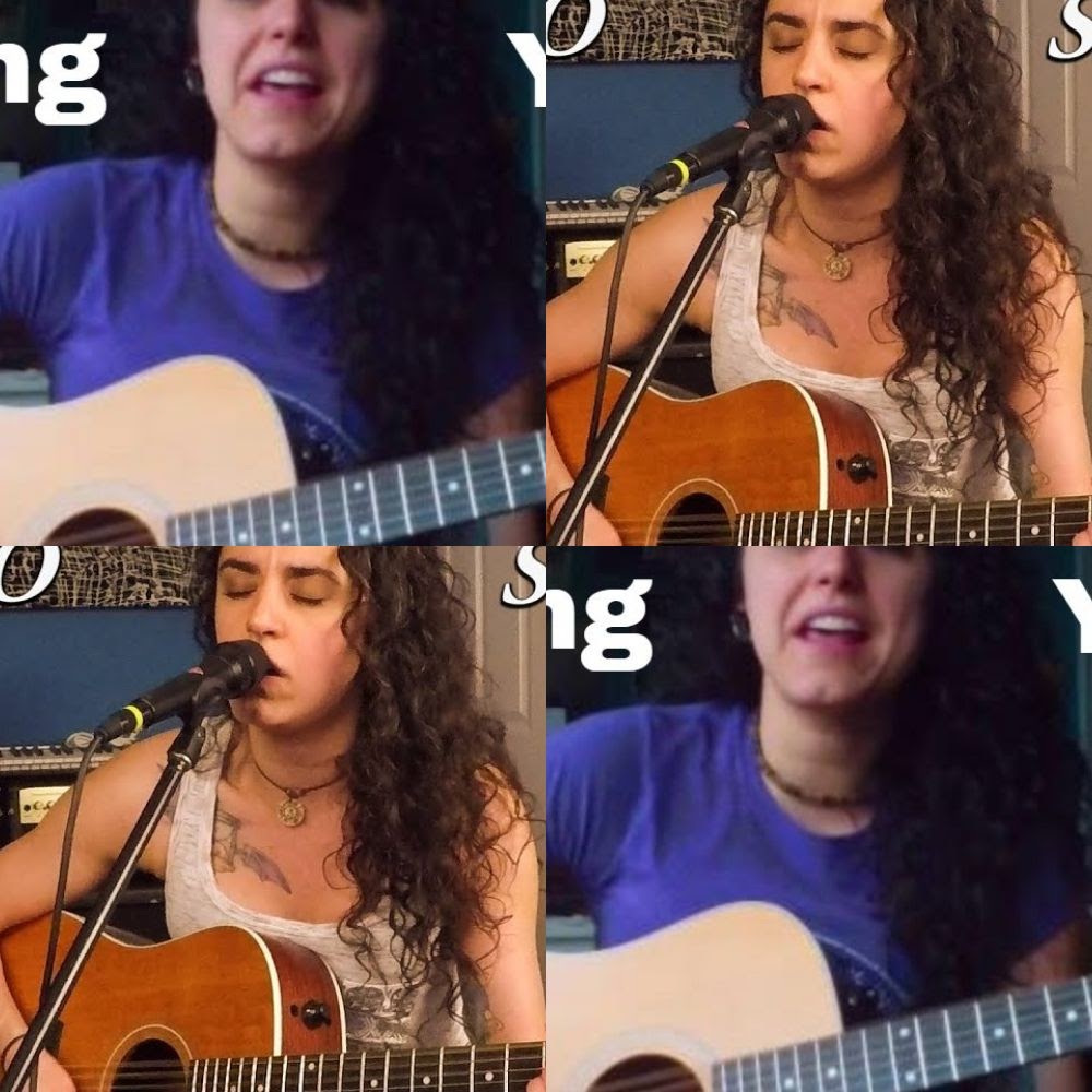 Acoustic punk covers