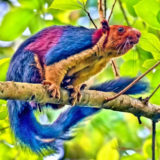 Post from Wolfsec Scenics PW