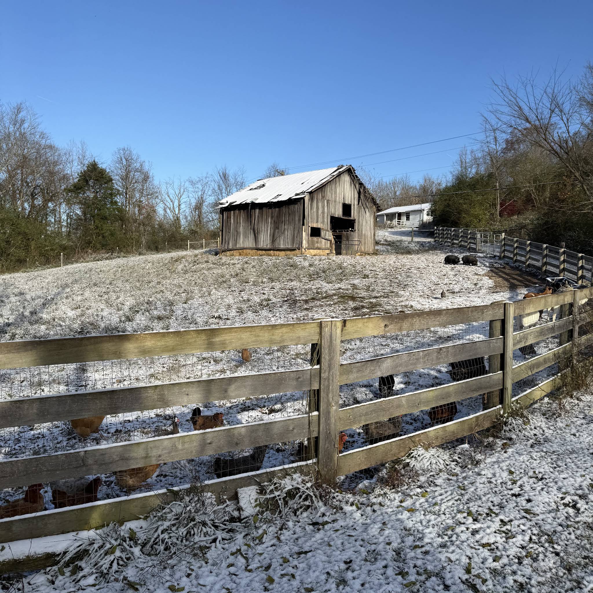 Post from Stivers Homestead