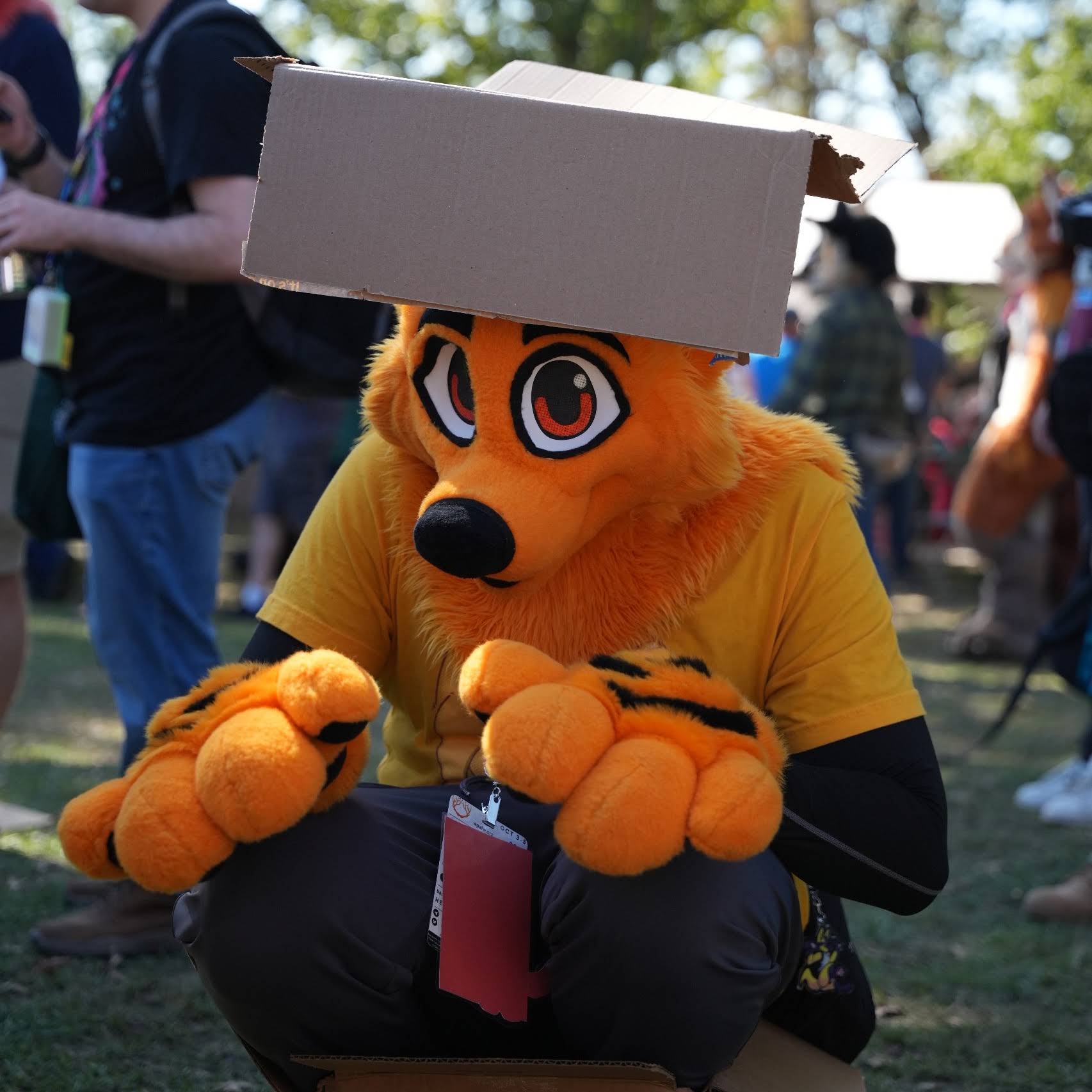 Post from MangoFoxy