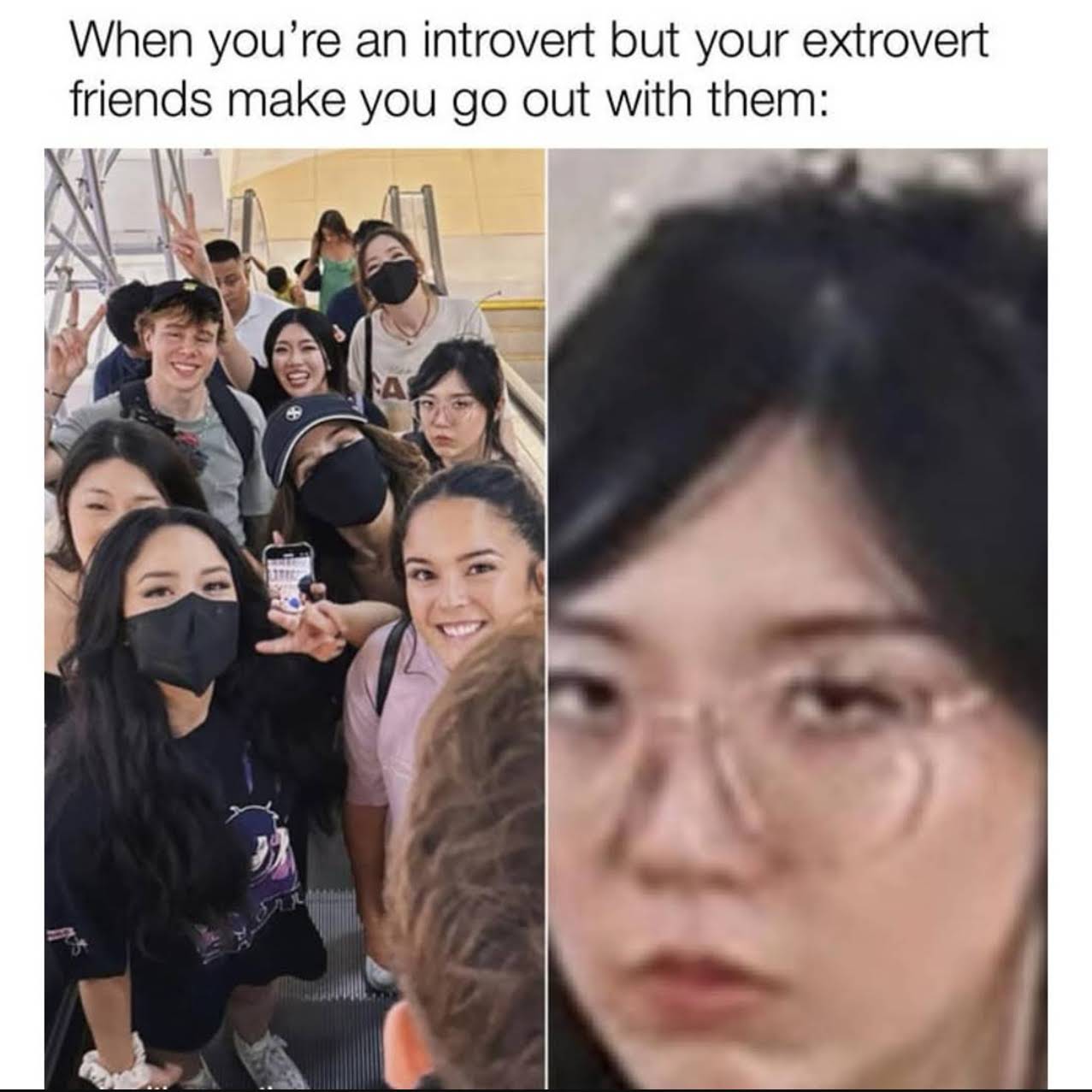 Post from Connor Pugs