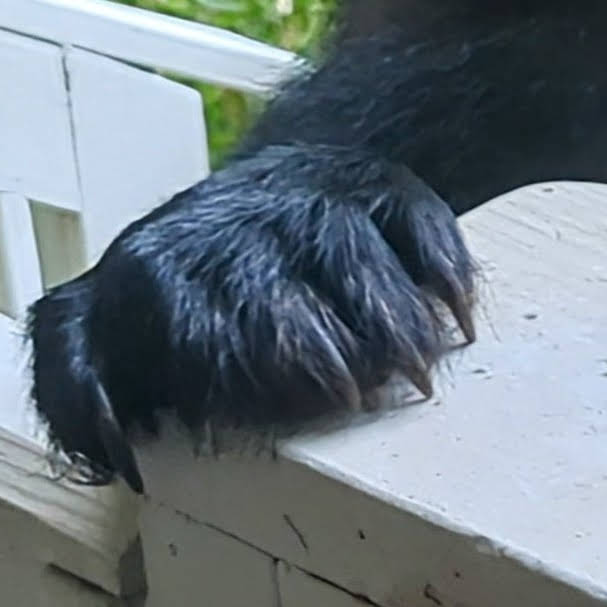 Post from Patrick Conley