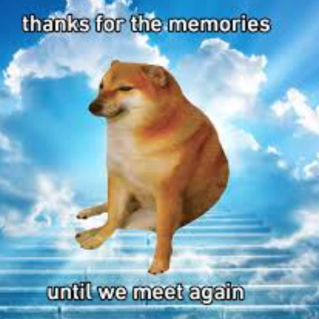 Post from The 2nd Meme Thief