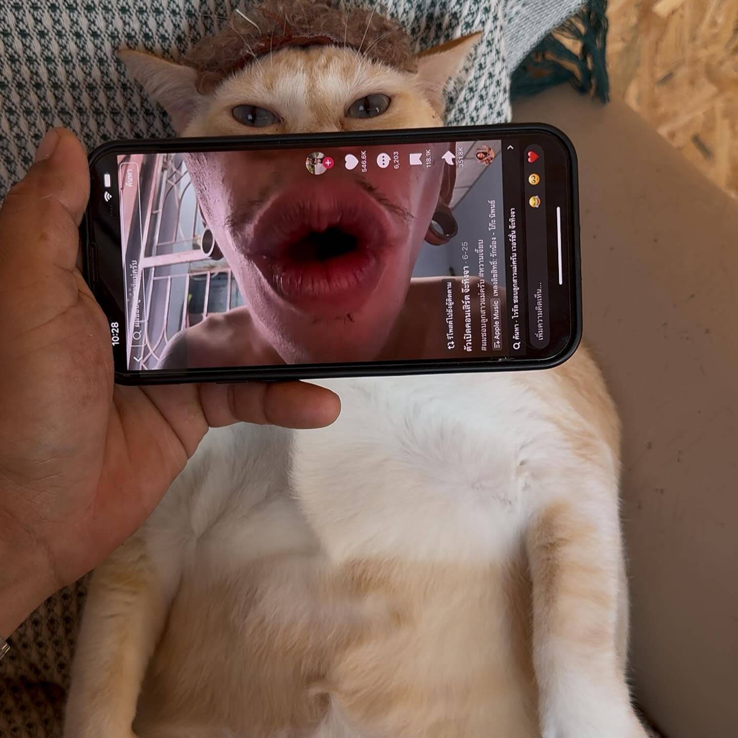 Post from HaGate Studio