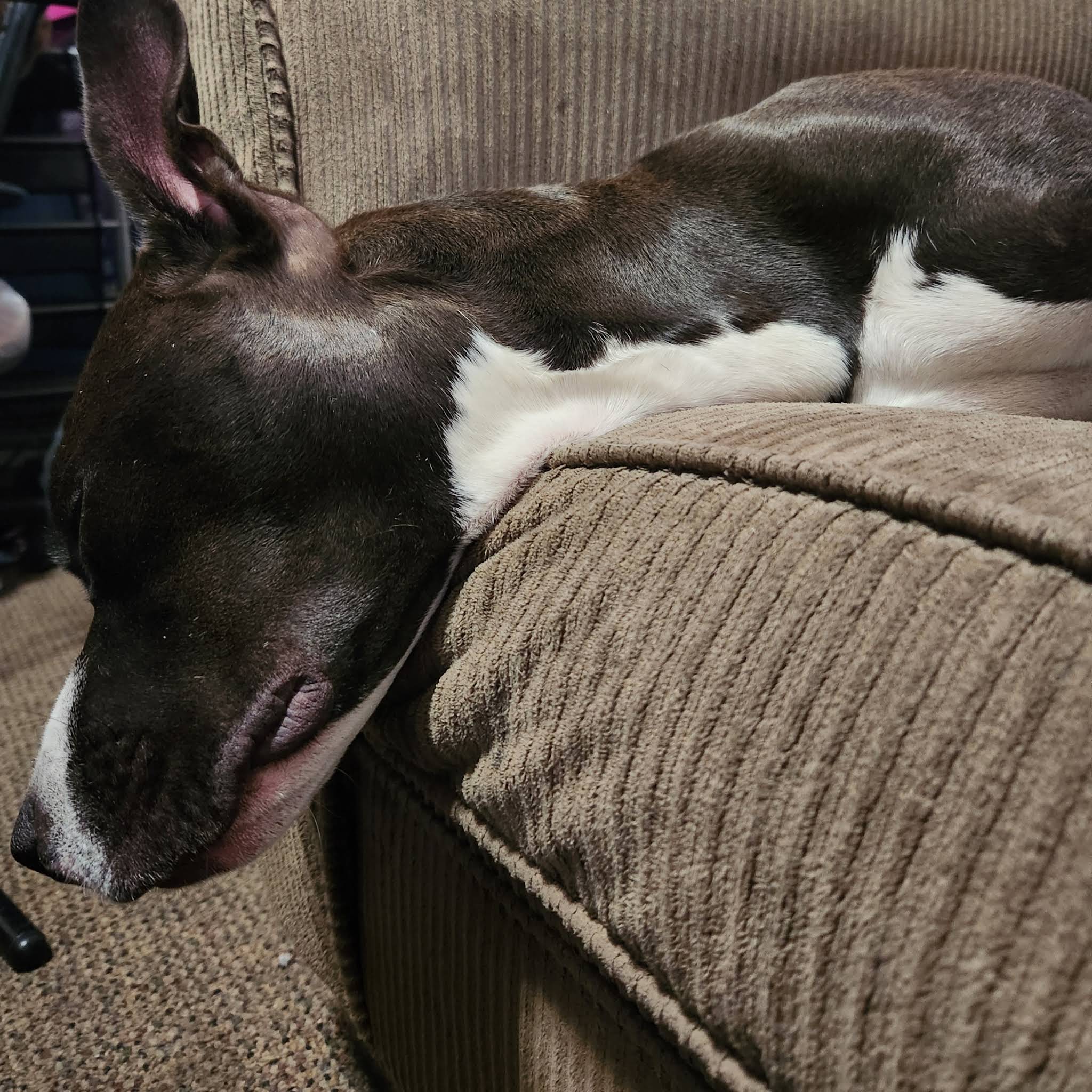 Post from The Pink Dungeon