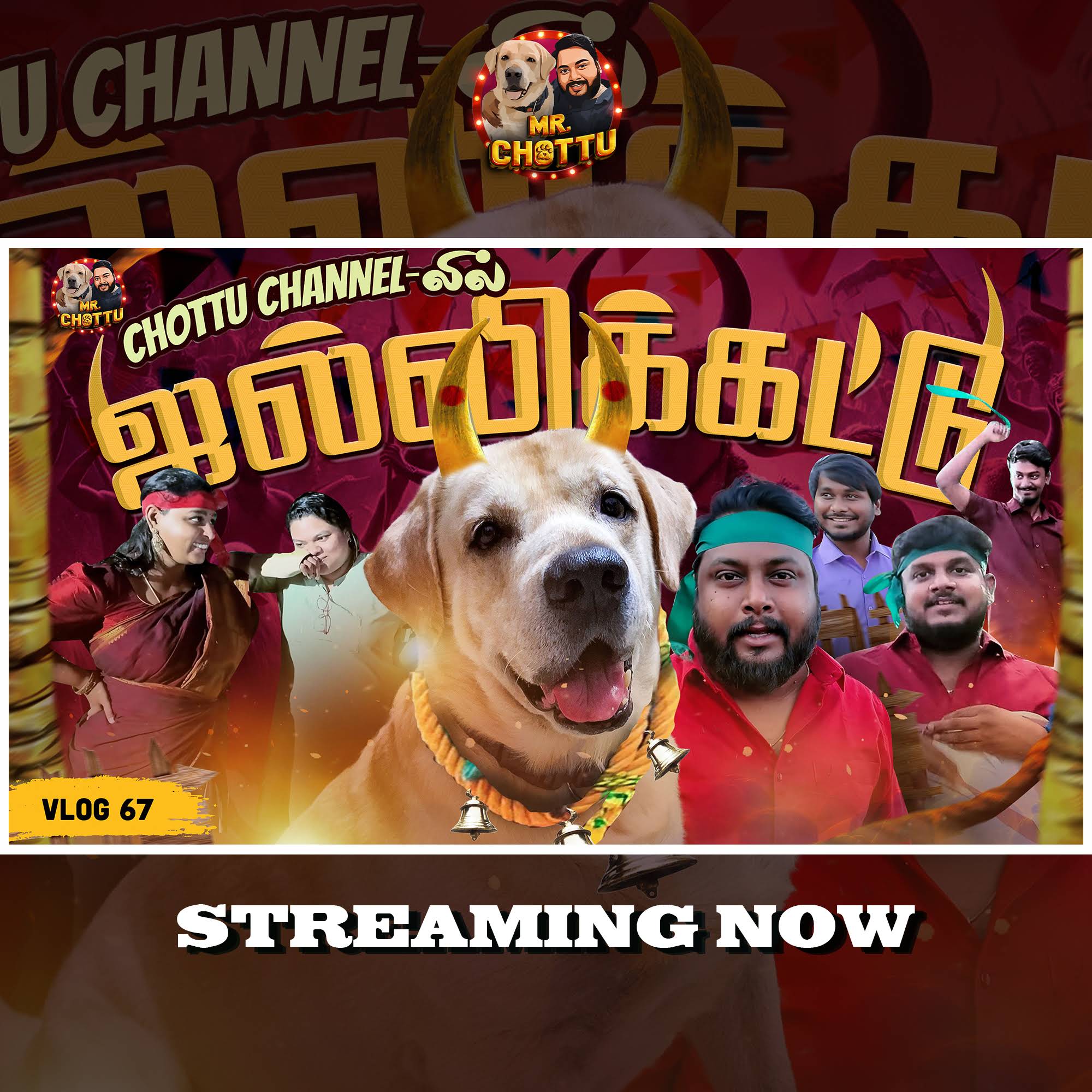Post from Mr. Chottu