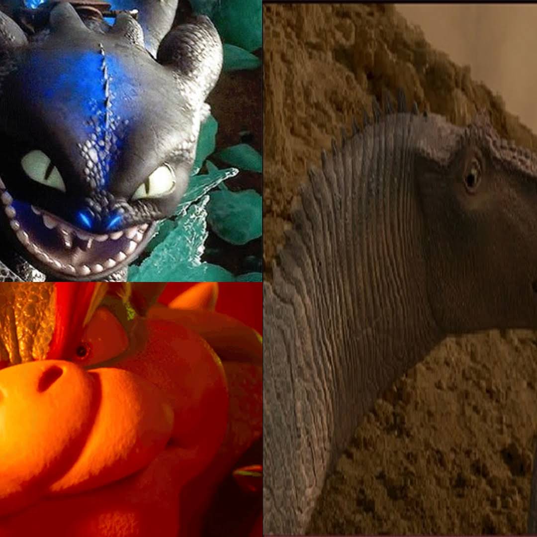 Post from Dragon Rockz
