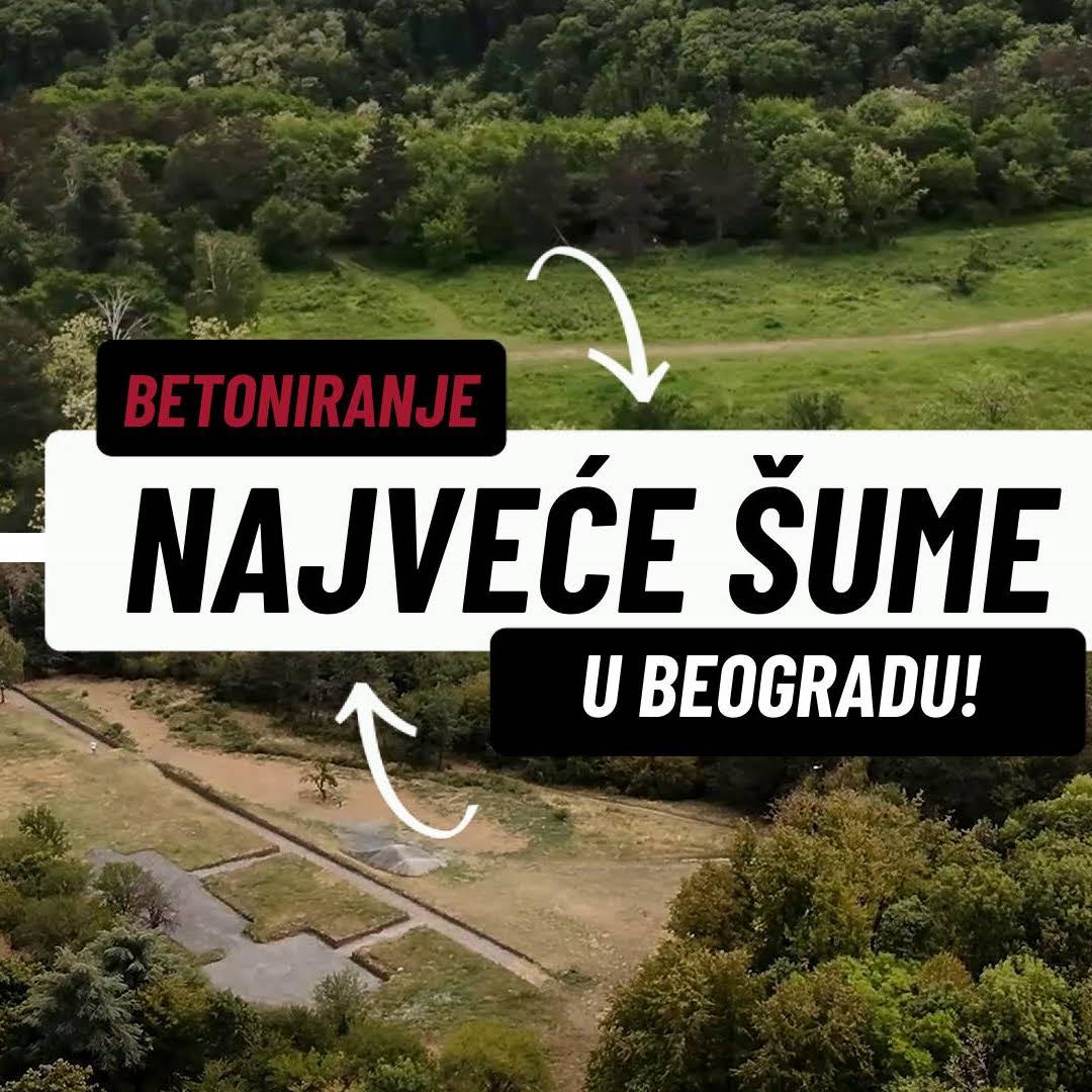 Post from Marija Atanaskovic