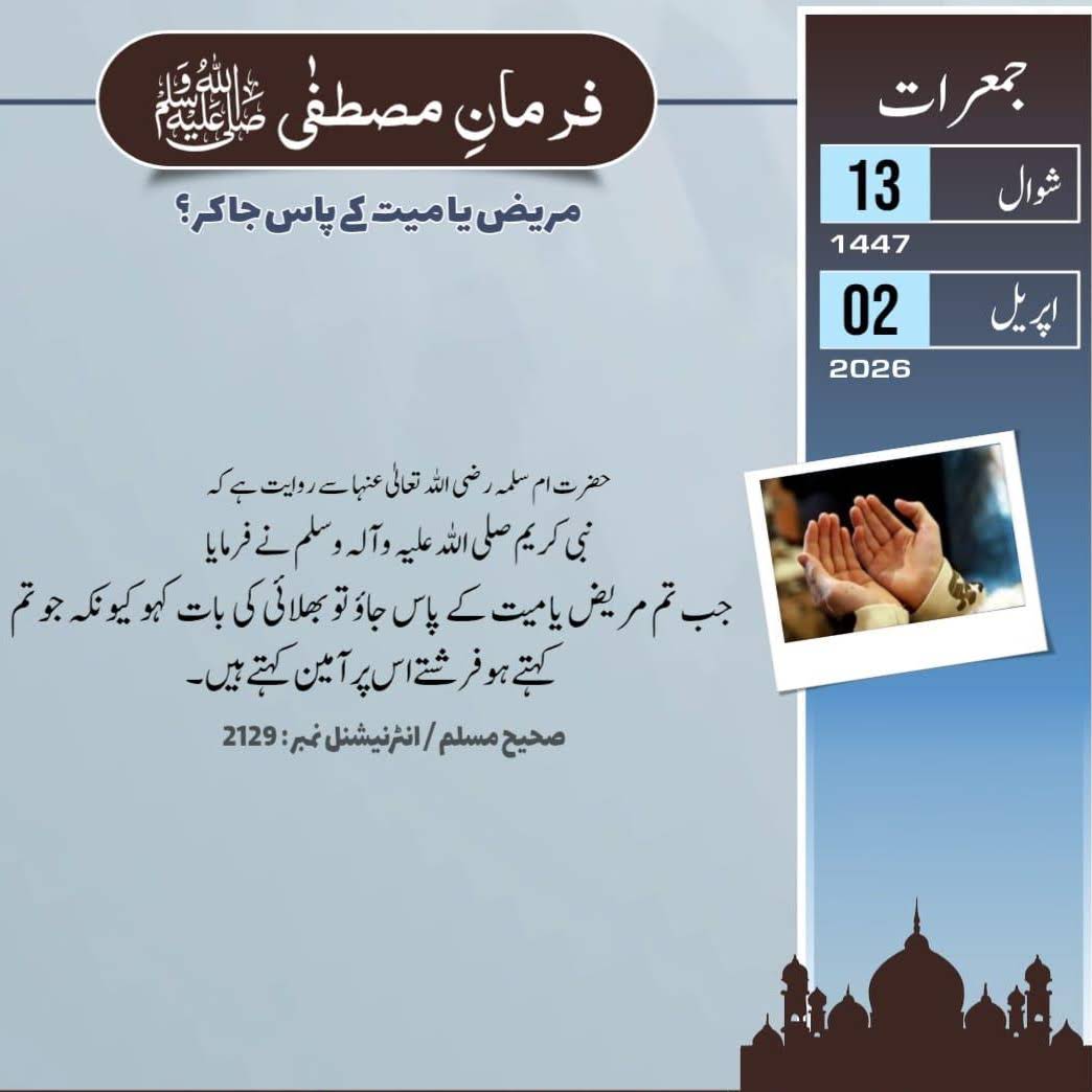 Post from Engineer Hammad Ashraf - Official