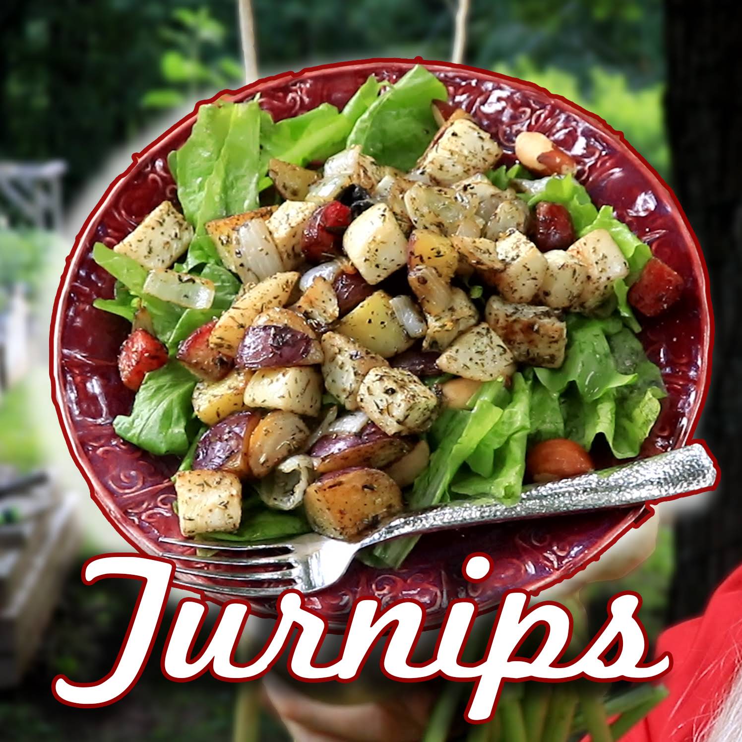 Post from Kaye Kittrell Late Bloomer