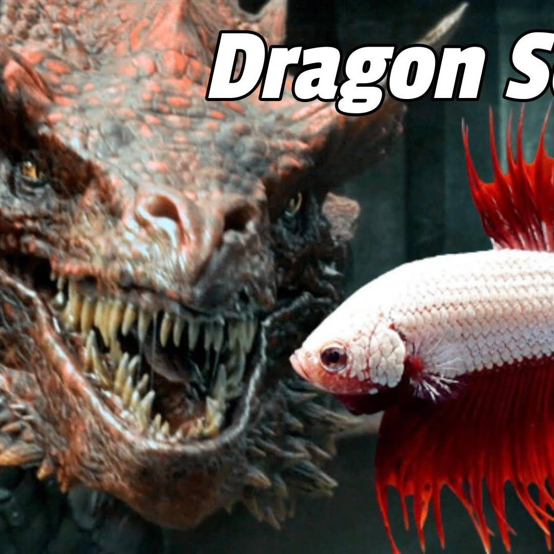 Post from Aqua Diary