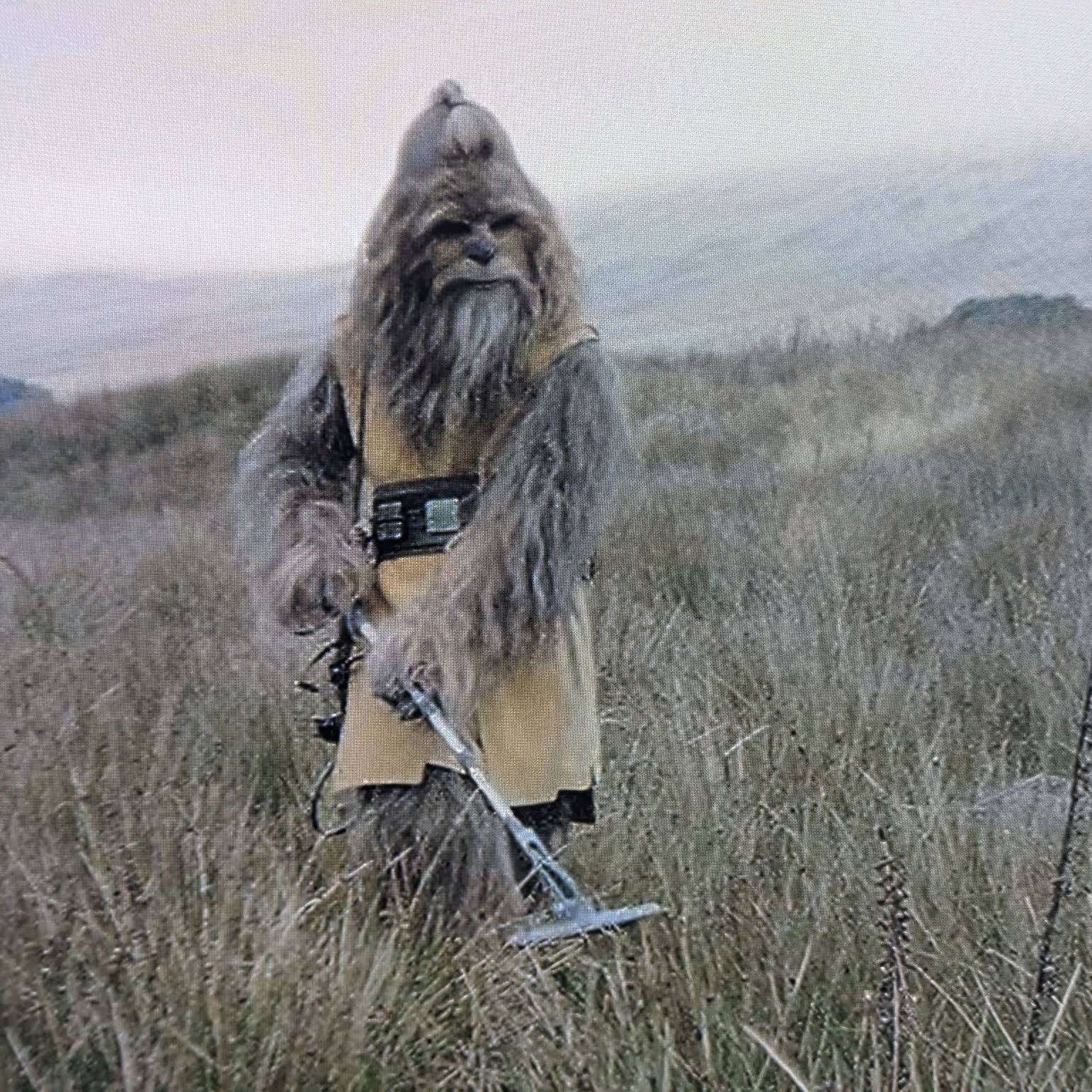 Post from Verbal Riot