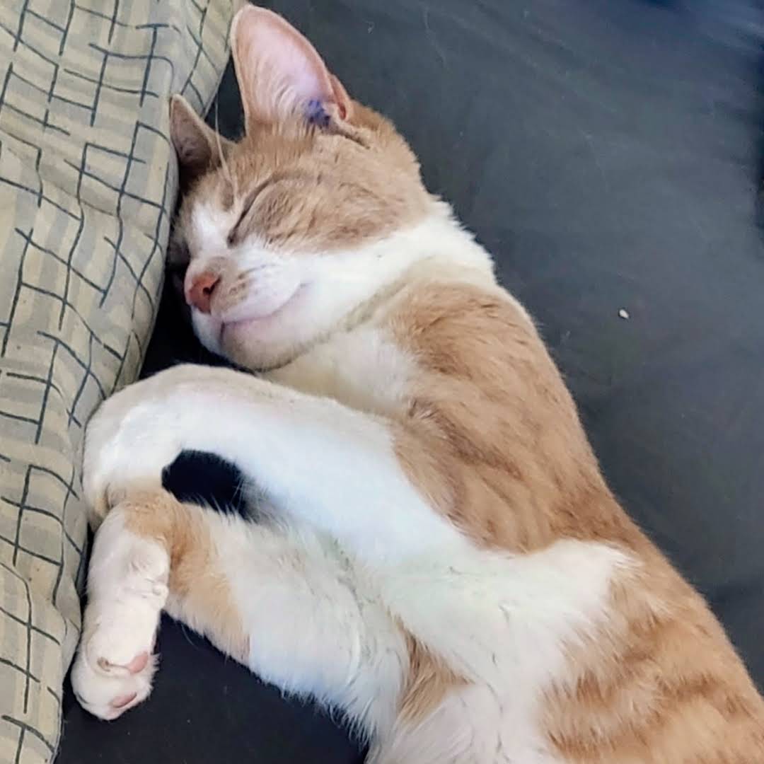 Post from ButterJaffa