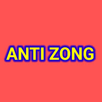 Post from Anti Zong