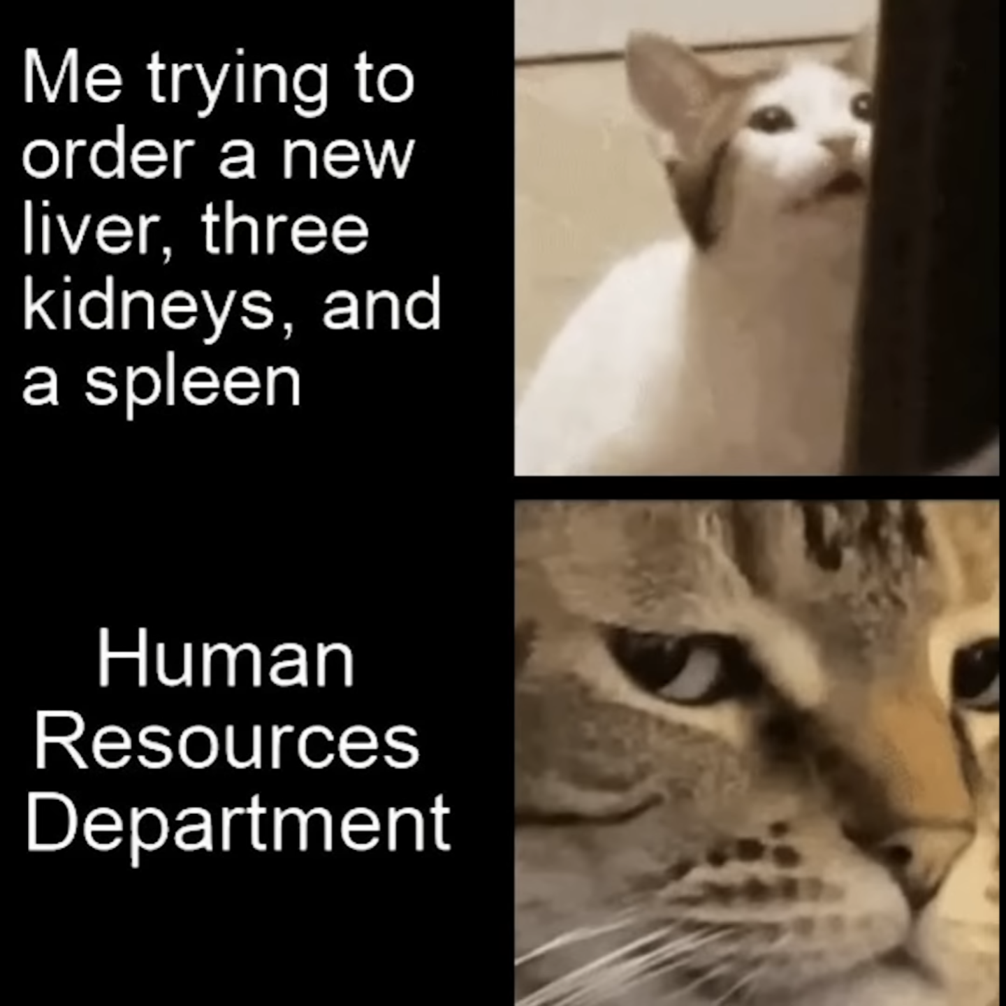 Post from The Weird World of Video Games