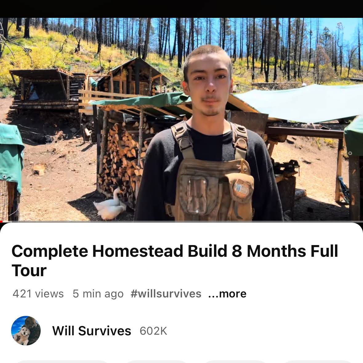 Post from Will Survives