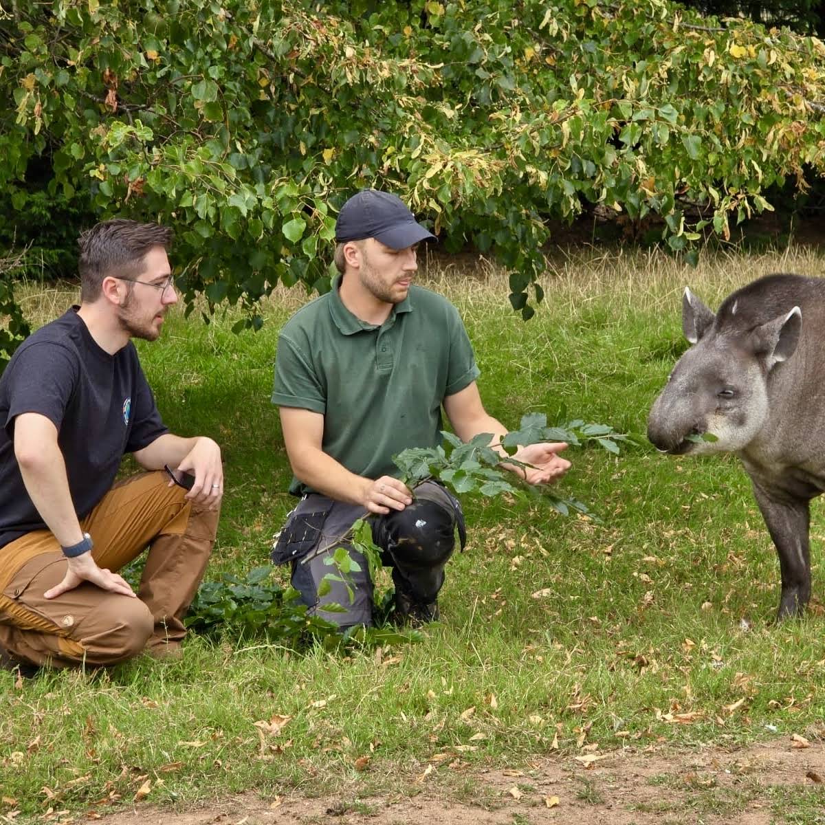 Post from Nemo the Mormon