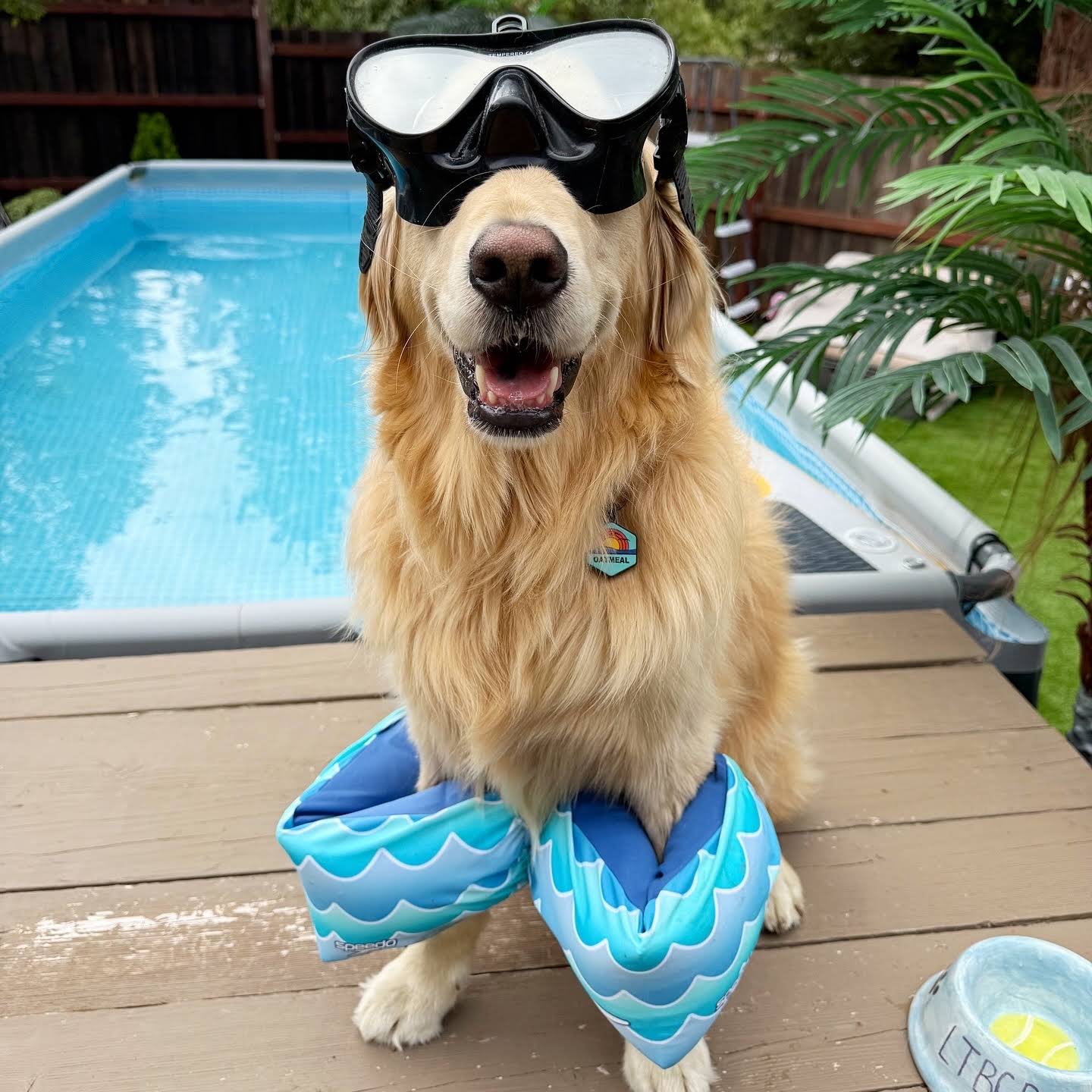 Post from Adria and Oatmeal