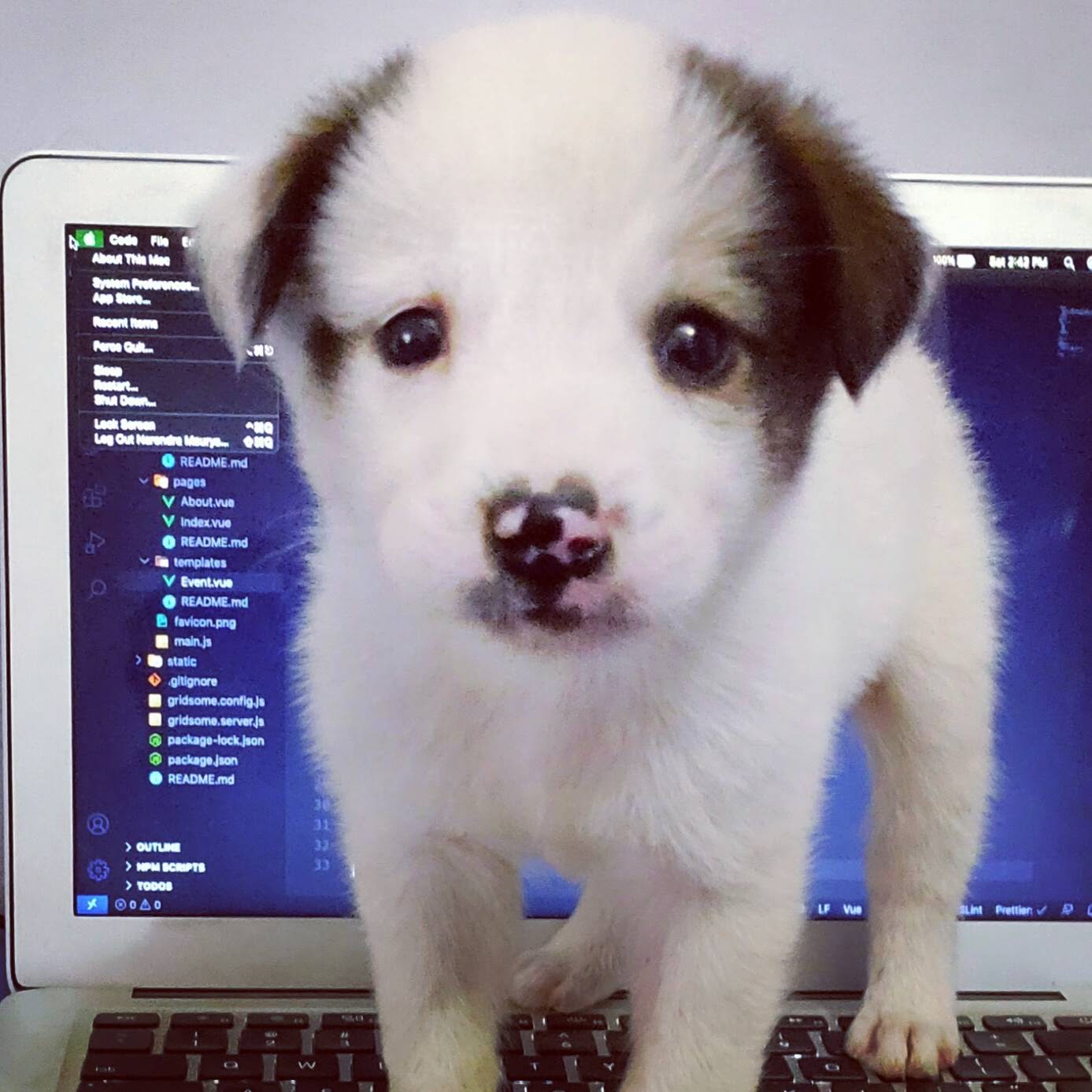 Post from The Codebook Inc.