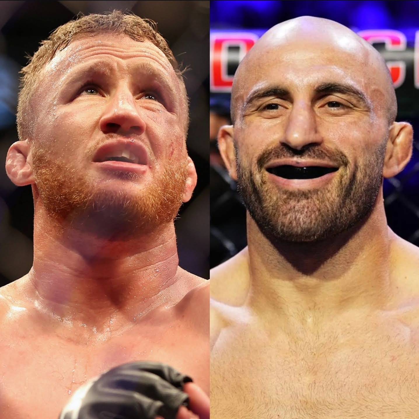 Post from OCTAGON NEWS