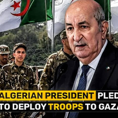 Post from SYED Mahmud