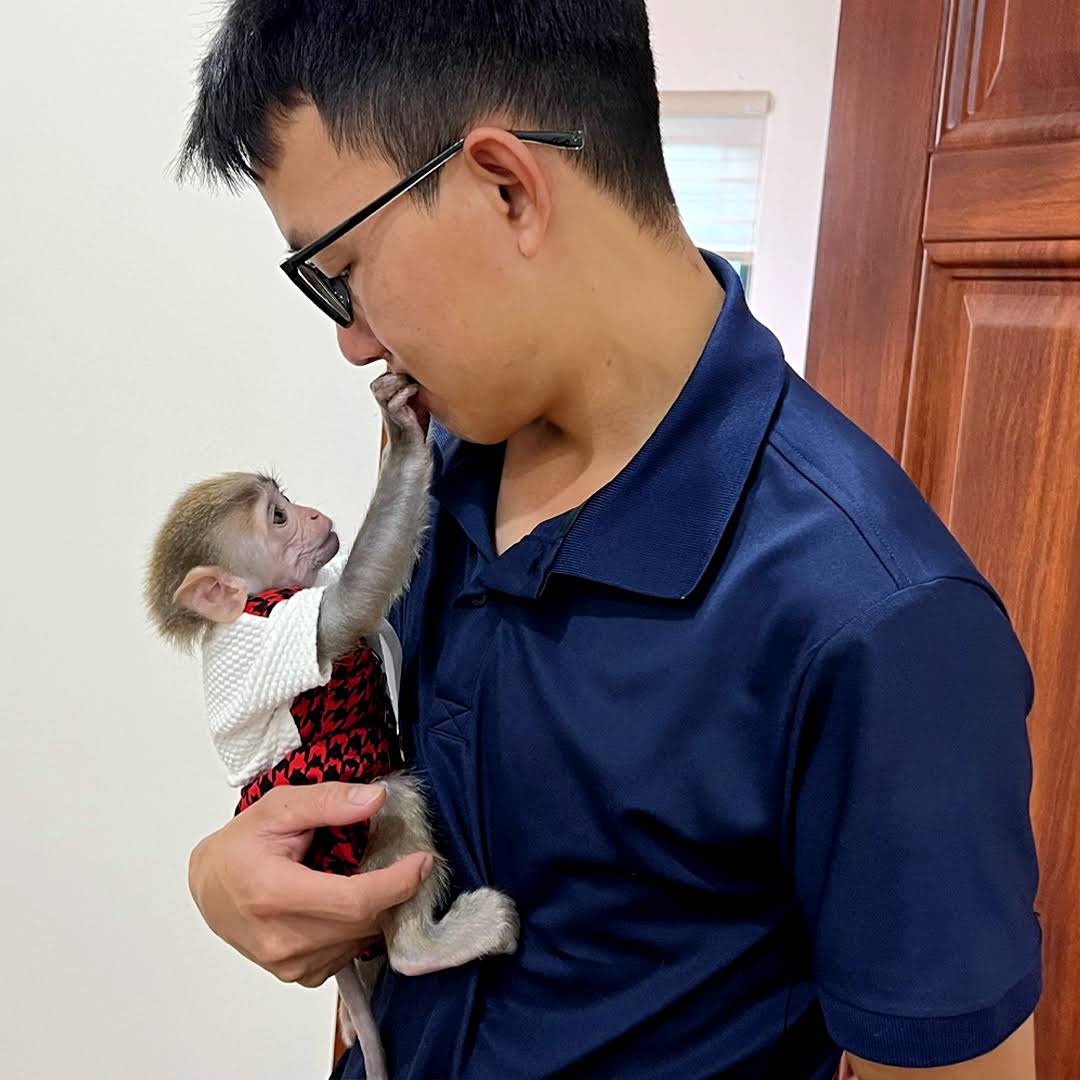 Post from Monkey Mon