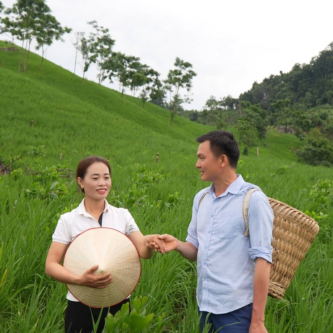 Post from Green forest life