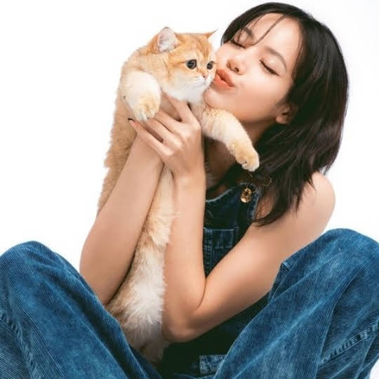 Post from Cloudsé