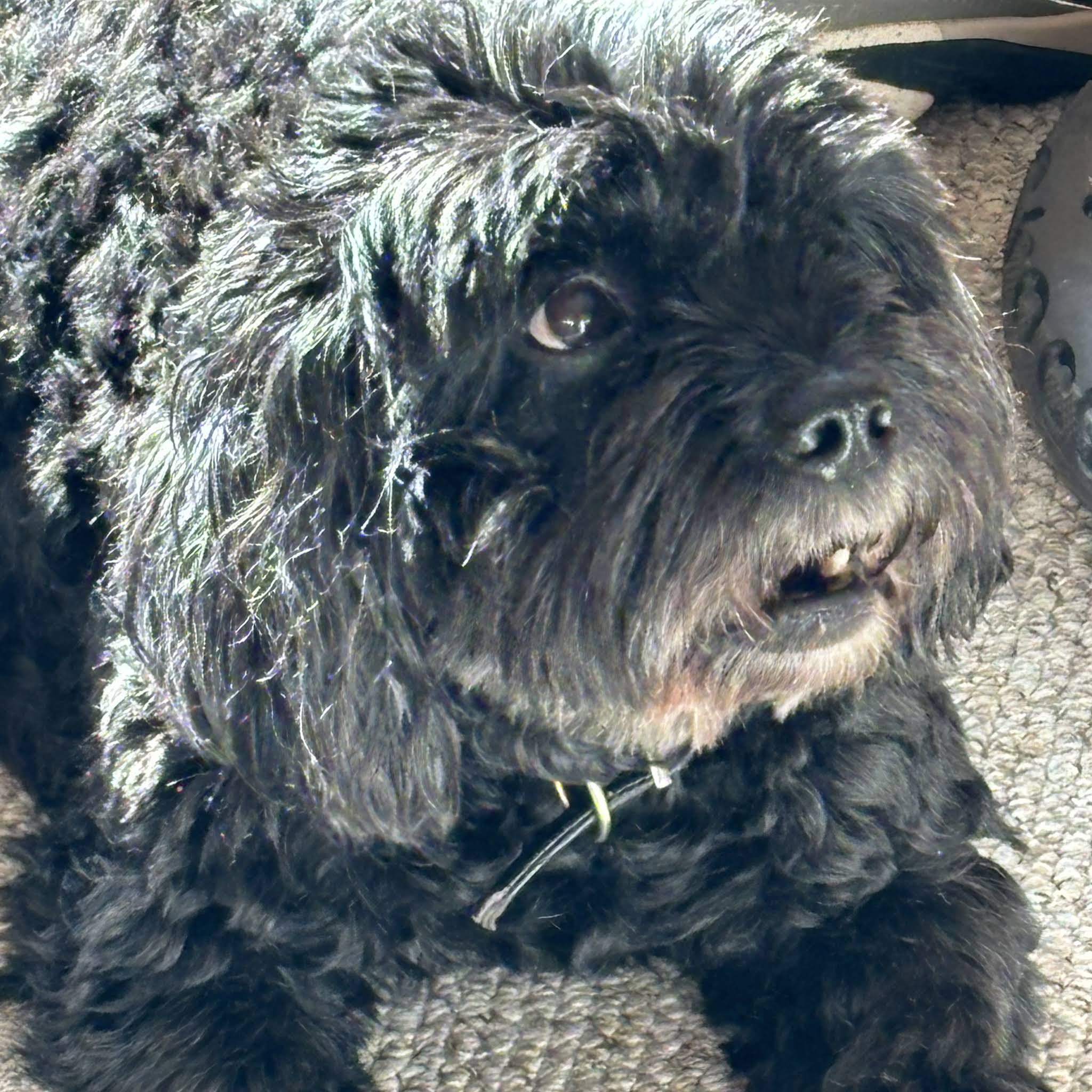 Post from Jenkinator