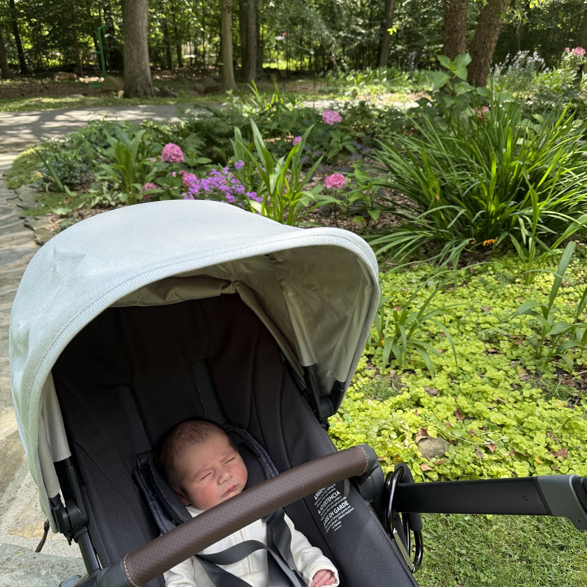 Post from Plant Vibrations with Devin Wallien