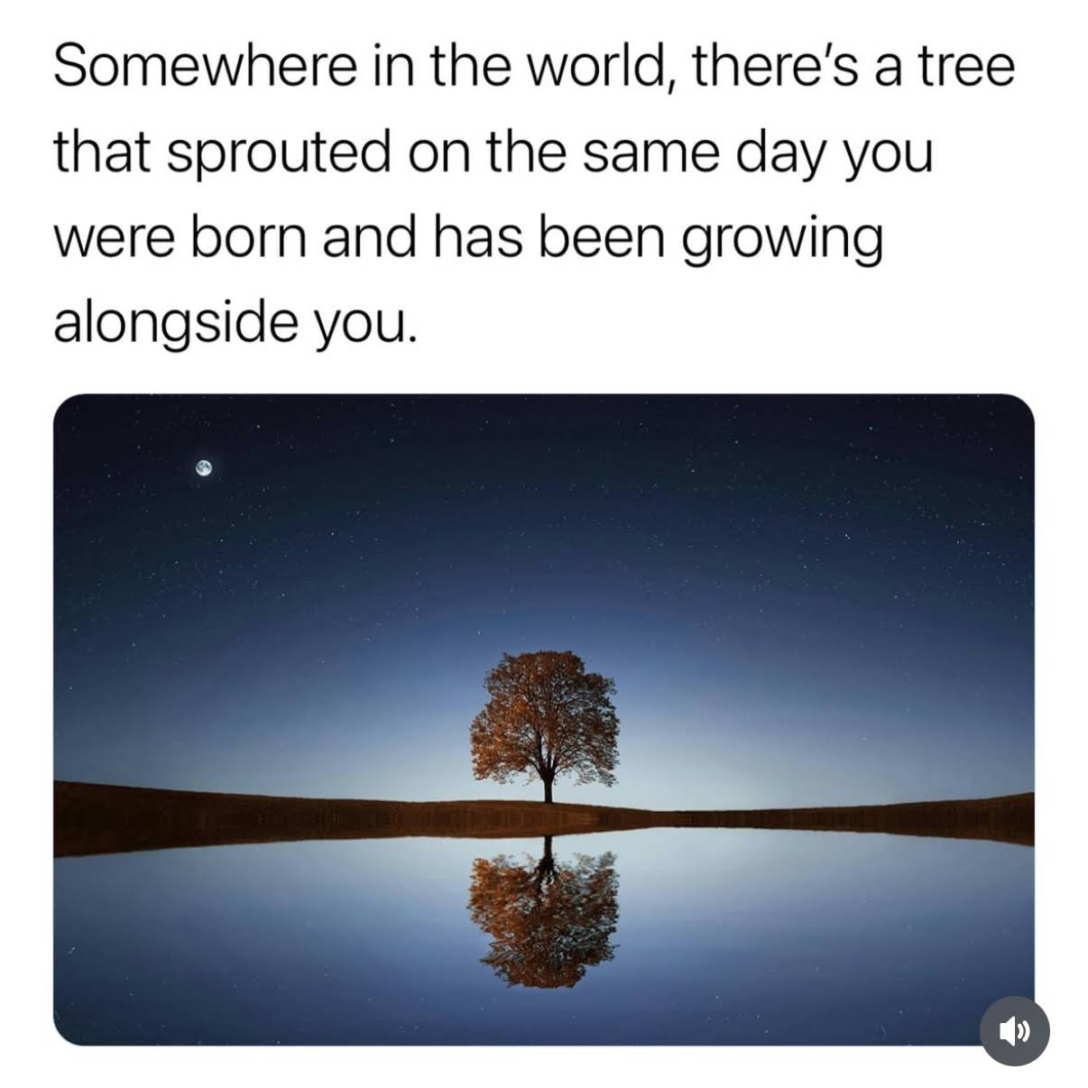 Post from Cue Reaves Experience