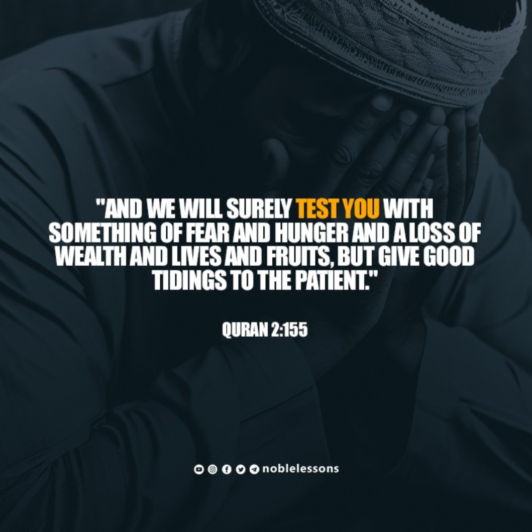 Post from Noble Lessons