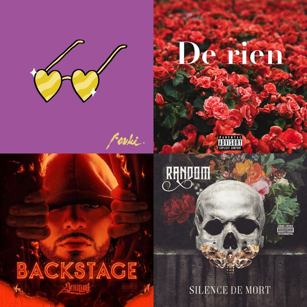 rap/hip-hop francais