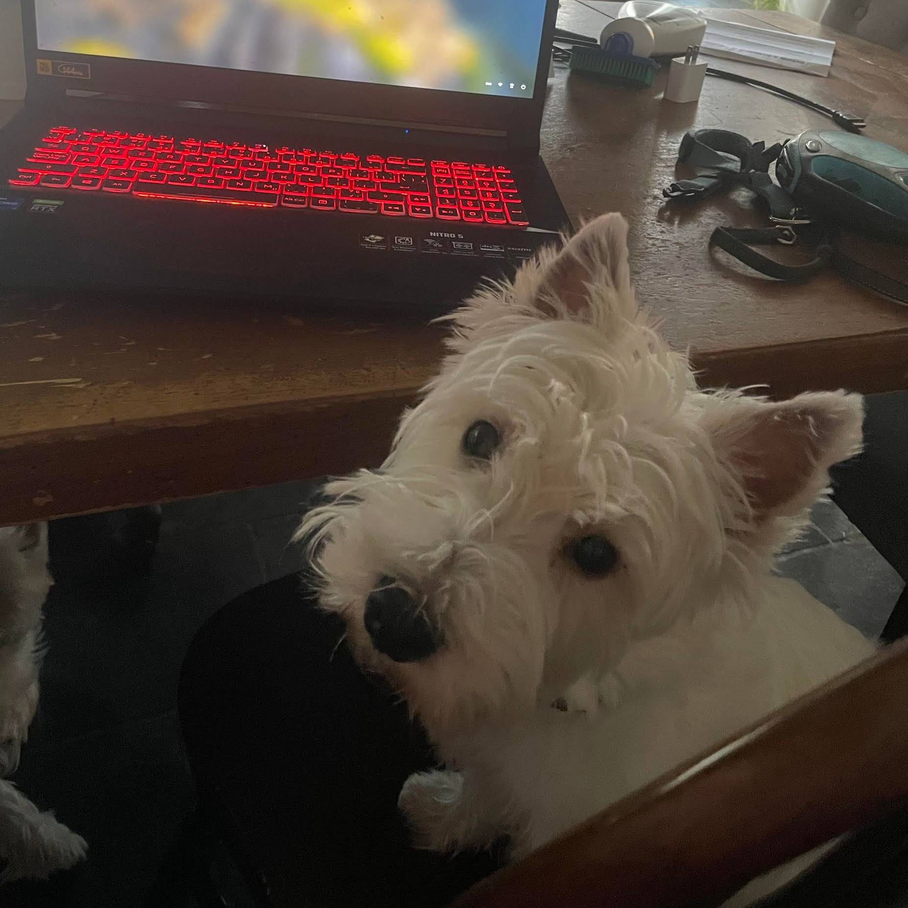 Post from On the Pulse with Silki