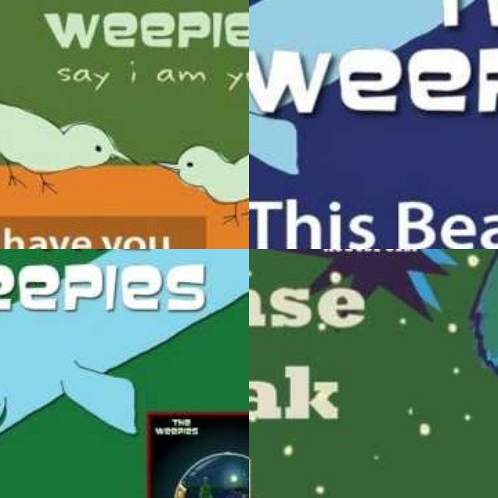 The Ultimate Weepies Playlist