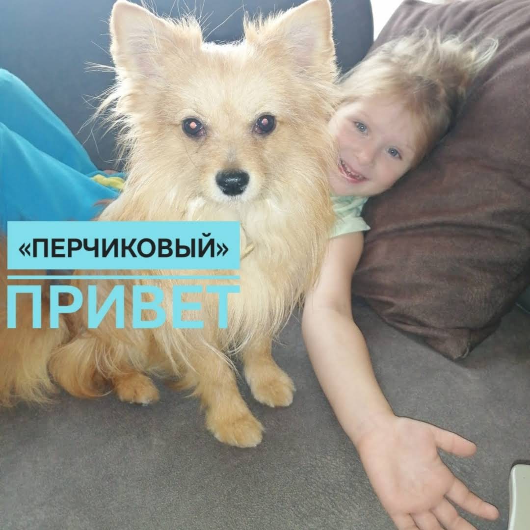 Post from Vernost TV