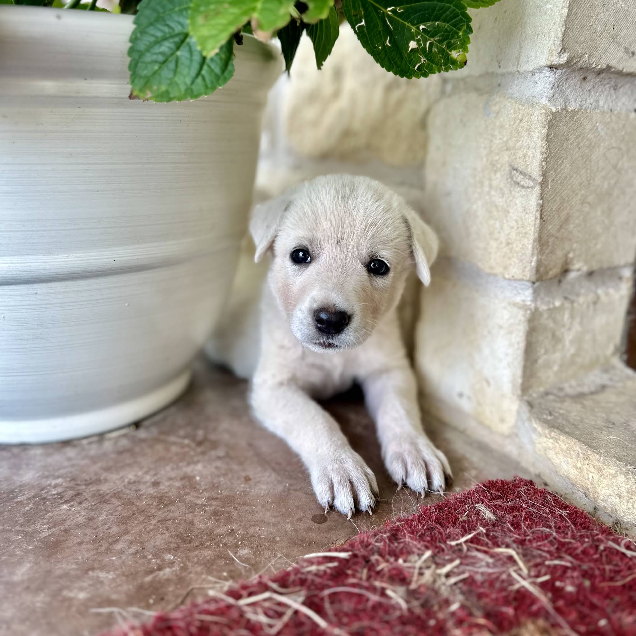 Post from Bar 7 Ranch