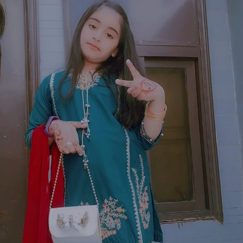 SWEET HAREEM Realtime YouTube Live Subscriber Counter 🔥 — Livecounts.io