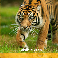 Poll from Visible xzan