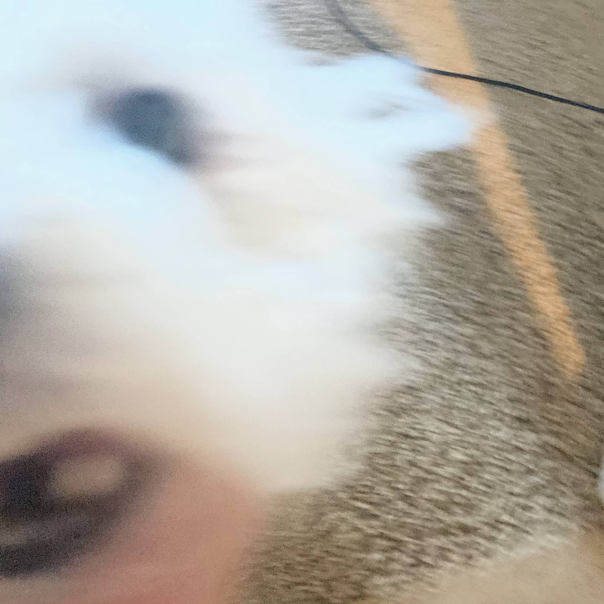 Post from 𝐸𝑚𝑖𝑙𝑦 𝑅𝑖𝑑𝑑𝑙𝑒