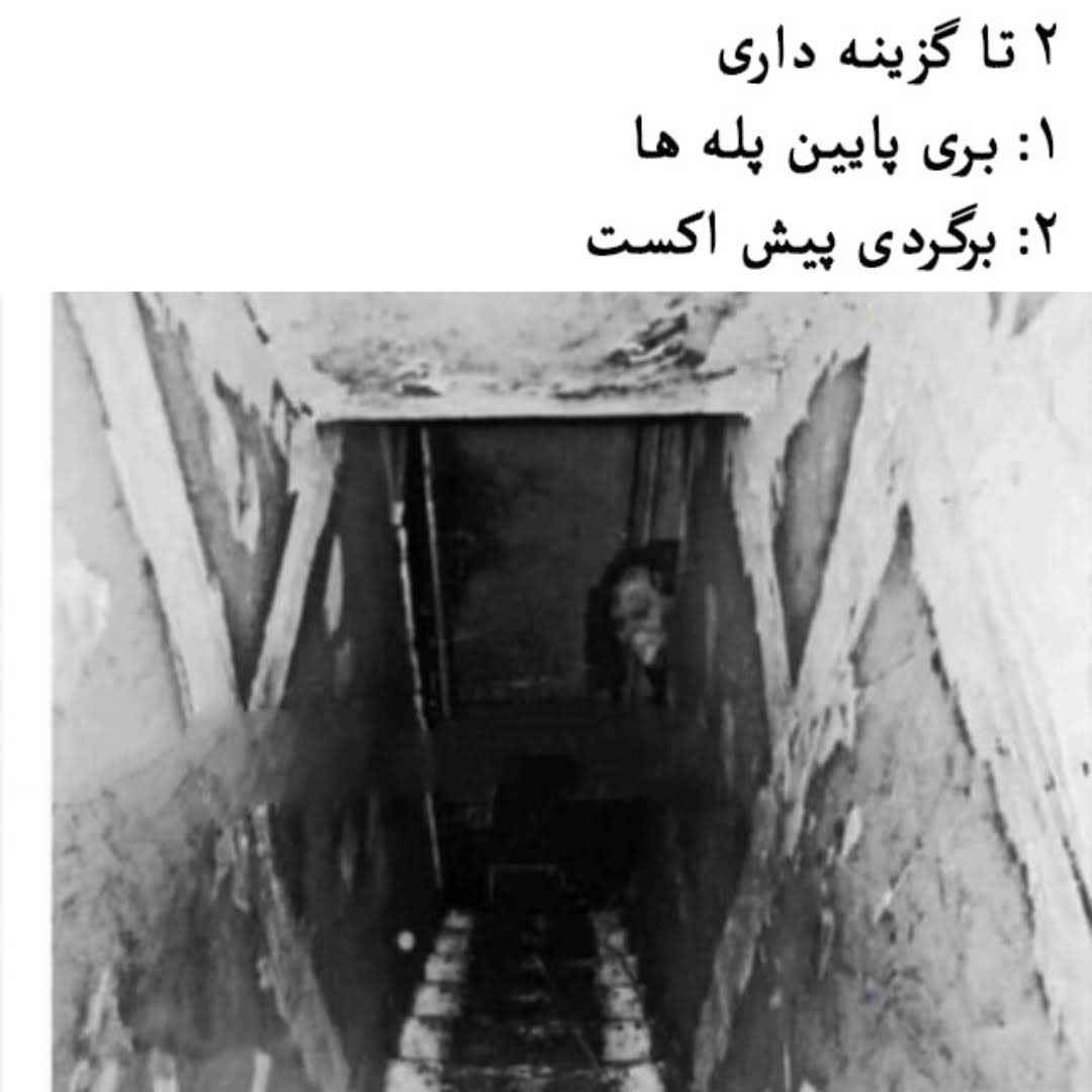 Post from Persian Shorts