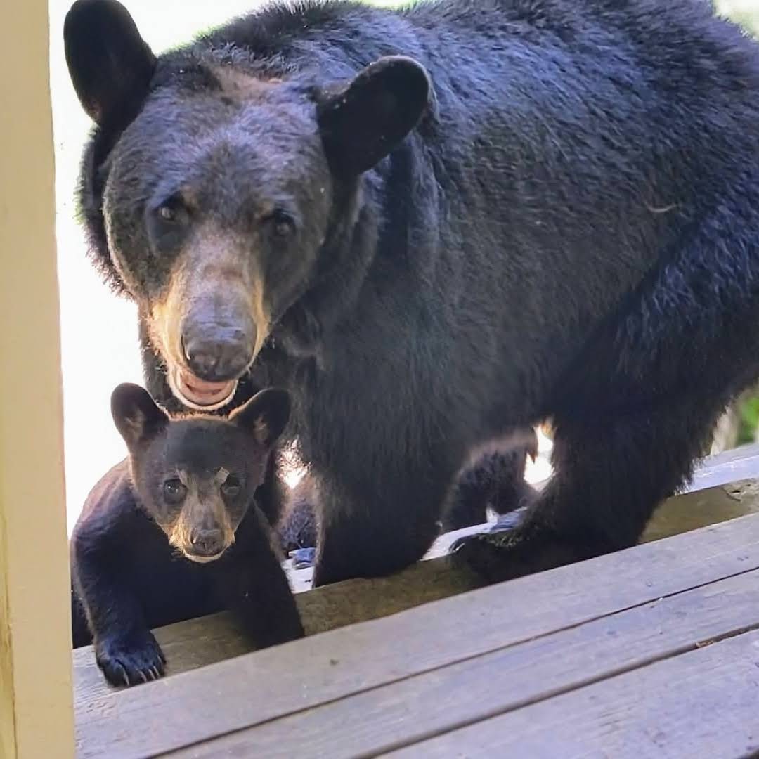 Post from Patrick Conley