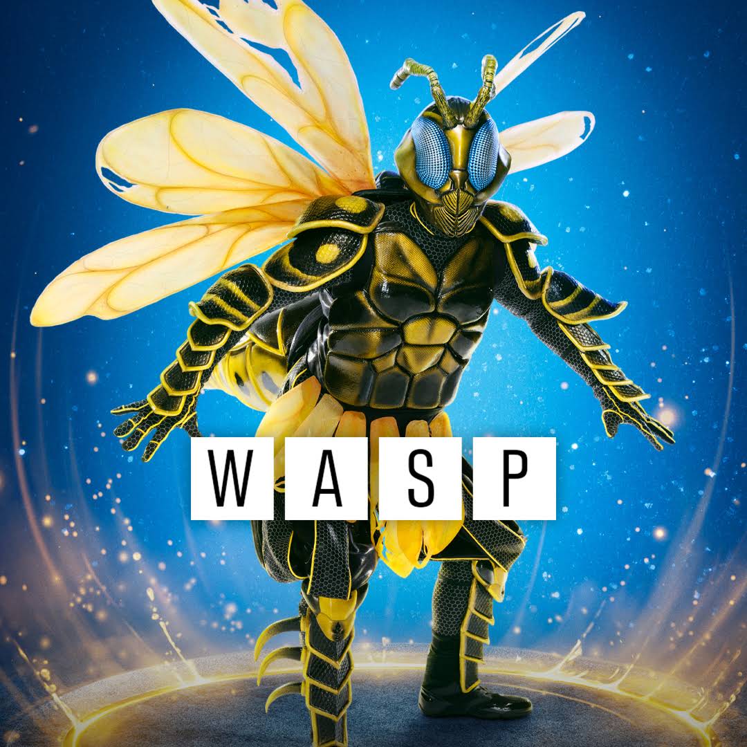 Post from The Masked Pokemon